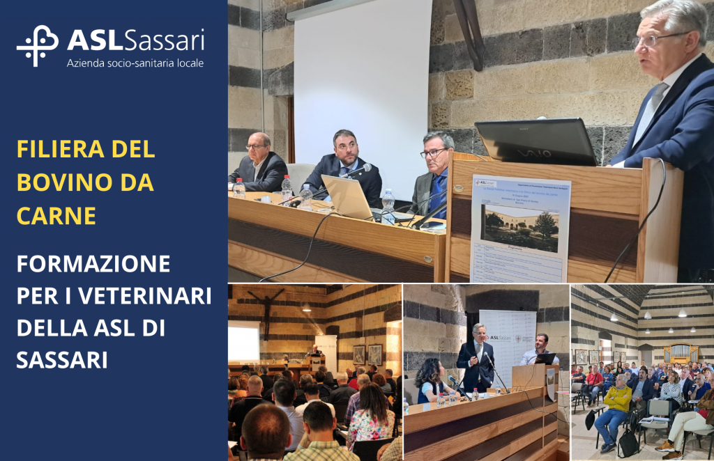 Filiera del bovino da carne: formazione Veterinari nella Asl n.1 - ASL ...